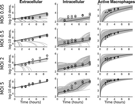 Experimental Data Circles For Bacteria Data Crosses For Macrophage Download Scientific