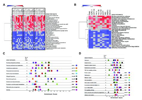 Gsea Of The Transcriptomic Data To Screen The Critical Pathway Affected