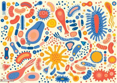 미생물의 다른 유형으로 큰 세트 모양의 추상적 인 컬렉션 현미경 바이러스 박테리아 미생물 Protists 배경에 격리된 컬러 플랫 벡터 일러스트레이션 프로바이오틱에 대한