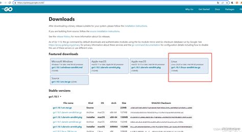 centos7 9快速安装golang运行和开发环境图文教程 centos7 9安装go环境 csdn博客