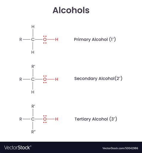 Alcohol Biochemistry Functional Groups Royalty Free Vector
