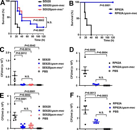 Mouse Sepsis Model Female 610 Weeks Old C57bl6ncrl Mice N 5 For