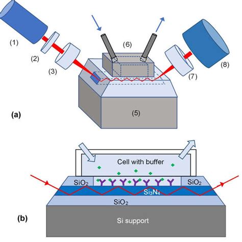 A The Planar Waveguide Pw Biosensor Experimental Set Up Laser Download Scientific Diagram