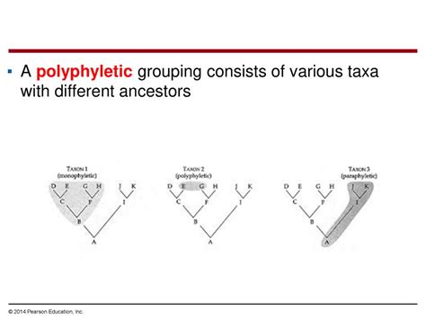 Unit 42 Phylogeny Ppt Download