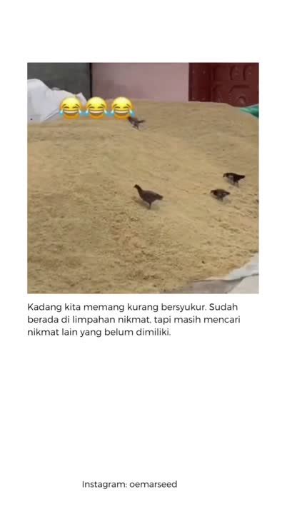 dwi utomo posted on linkedin