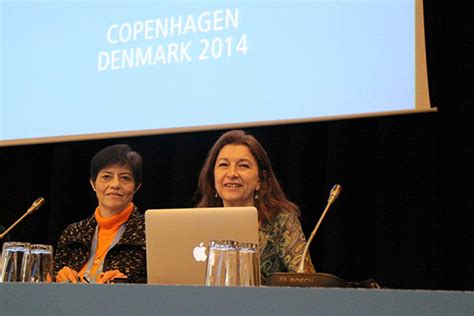 La Previa Del Informe Final Nexcienciaexactasubaar