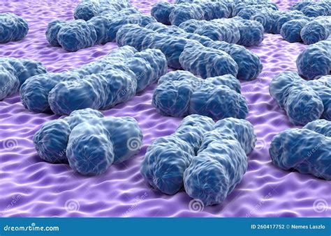 Pyrimidines And Purines Nucleotide Diagram Chemical Structure Cartoon