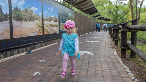 Atrakcje Dla Dzieci Pomys Y Na Dzie Dziecka I Nie Tylko Polskieszlaki Pl