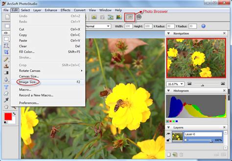 Pygame Reduce Image Size Design Talk
