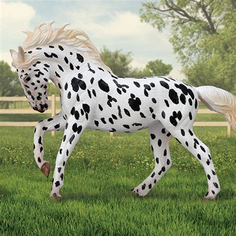 Collecta – ”Eläinten maailma pienoiskoossa” leikkijöille ja ...