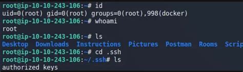 Persistence Backdoor Techniques Beginner To Advanced In Linux