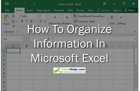 How To Organize Information In Microsoft Excel Excel Help