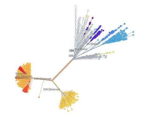 Why Ba5 Is Good At Dodging Our Immune Systems Even If Youve Just Had