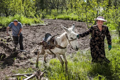 Путешествие в Гелан. Часть II