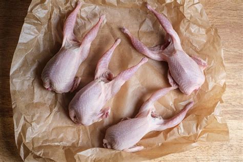 طبع گوشت بلدرچین سرد یا گرم