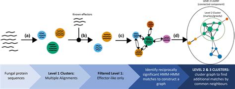 The Clustering Workflow Employed In This Study A Sequences Are