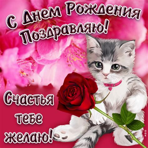 Красивая Картинка с днём рождения с котиком