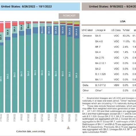 Phylogenetic Relationships Of Nextstrain Sars Cov 2 Omicron Clades