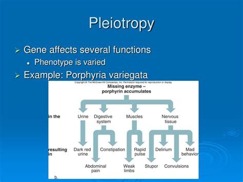 Ppt Pedigrees Powerpoint Presentation Free Download Id4643000