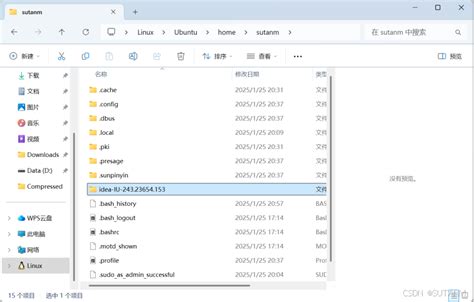 2025——win11从零配置wsl2idea（wslg） Csdn博客