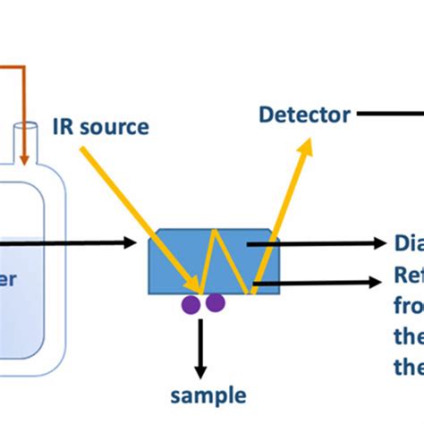 A Depiction Of The Diffusion Cell Apparatus Using An In Situ Atr Ftir Download Scientific