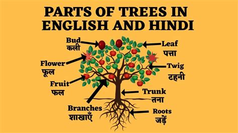 Names Of Trees In Hindi