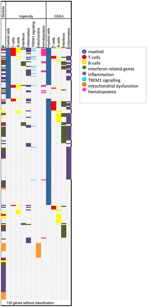 Functional Classification Of Individual Genes Identified By Gene Download Scientific Diagram