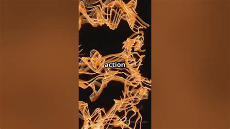 Settimeout Vs Setinterval Javascript Explained In 60 Seconds Youtube