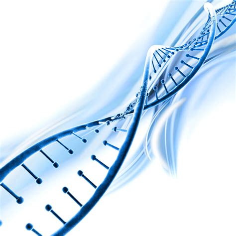 What You Need To Know About Genotype Testing Synlab Nigeria