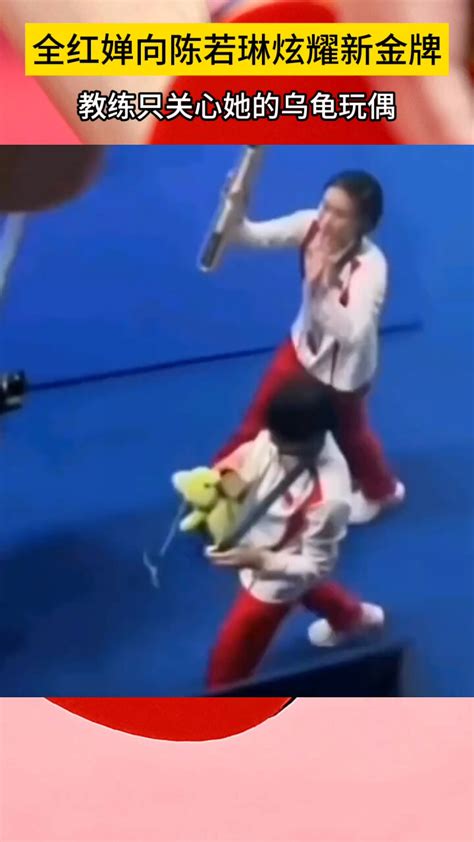重点跑偏了！全红婵：教练看我刚拿的金牌，陈若琳：这乌龟谁送的 腾讯新闻