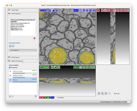 Wrong Segmentation Using Nn Prediction · Issue 2701 · Ilastikilastik