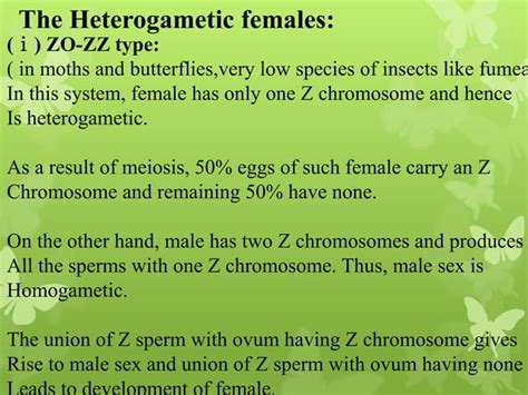 Sex Determination Chromosomal Theory Of Sex Determination Pptx