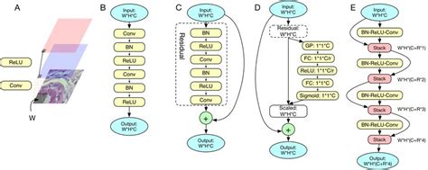 Deep Learning In Bioinformatics Introduction Application And