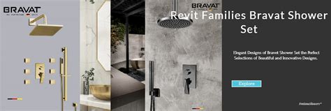 Revit Families Bravat Shower Set