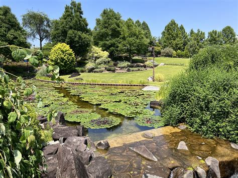 Dd6 Bb723 6 B87 415 C A81 F 16 E4 A1423 Bf4 Hosted At Imgbb — Imgbb