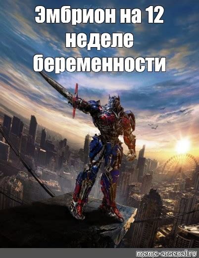 Meme Эмбрион на 12 неделе беременности All Templates Meme