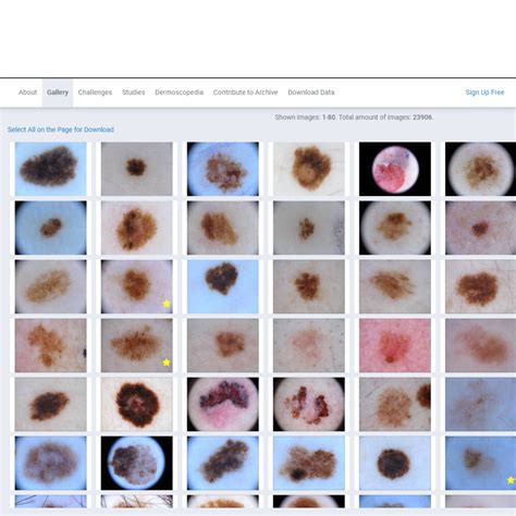 Skin Cancer Isic Kaggle