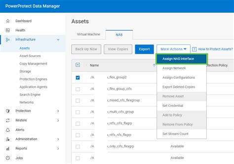 Multi VLAN Support Dell PowerProtect Data Manager Dynamic NAS Protection Dell Technologies