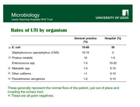 CP4 5 Clinical Infections Flashcards Quizlet