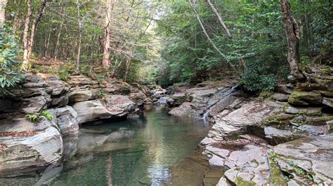 Old Loggers Path Backpacking Guide — Into The Backcountry