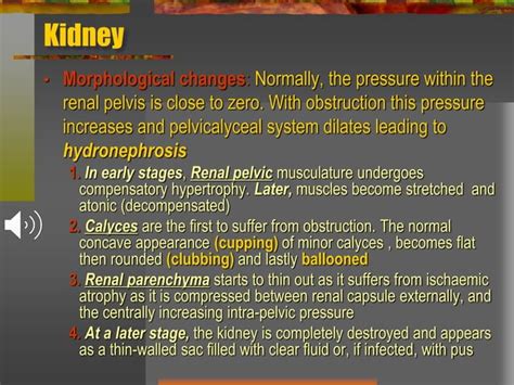 Obstructive Uropathy Online Pptx Digestive Disorders Diseases And Conditions