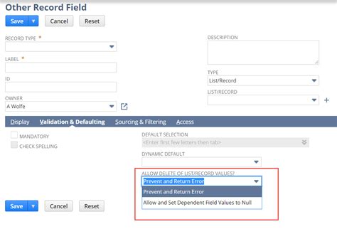 Netsuite Applications Suite Custom Other Record Fields As Xml Definitions