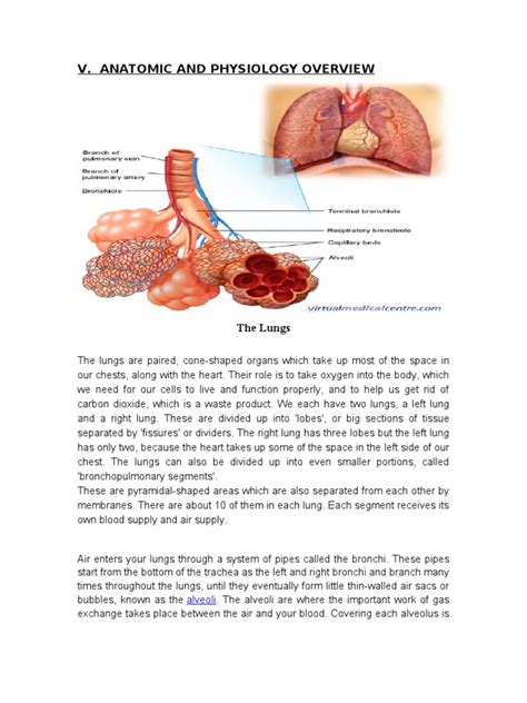 Pathophy Of Cap Pdf Lung Respiratory Tract