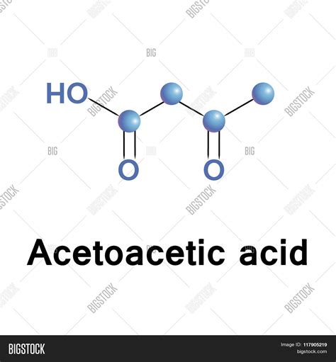 Acetoacetic Acid Vector And Photo Free Trial Bigstock