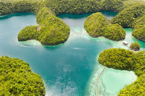 รูปภาพsugba เลือกดูภาพถ่ายสต็อก เวกเตอร์ และวิดีโอ523 Adobe Stock