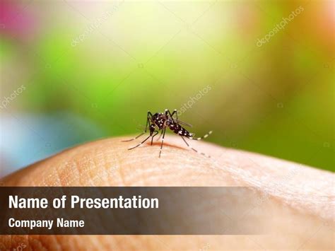 Mosquito Powerpoint Template Mosquito Powerpoint Background