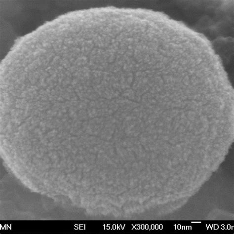 Sem Micrograph Of A Fully Developed 250nm Diameter Ptru Catalyst