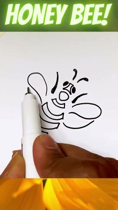 Step By Step Honet Bee Sketch Youtube