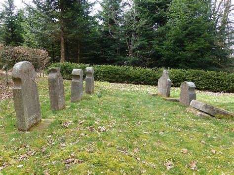 Cómo Viven Los Menonitas Personas Que Están Desconectadas Del Mundo