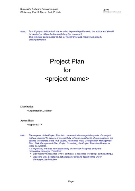 30 Great Project Plan Examples Templates TemplateArchive